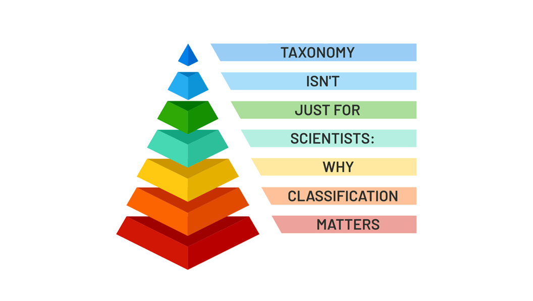 Three steps to tame long tail lab supply spend - ZAGENO